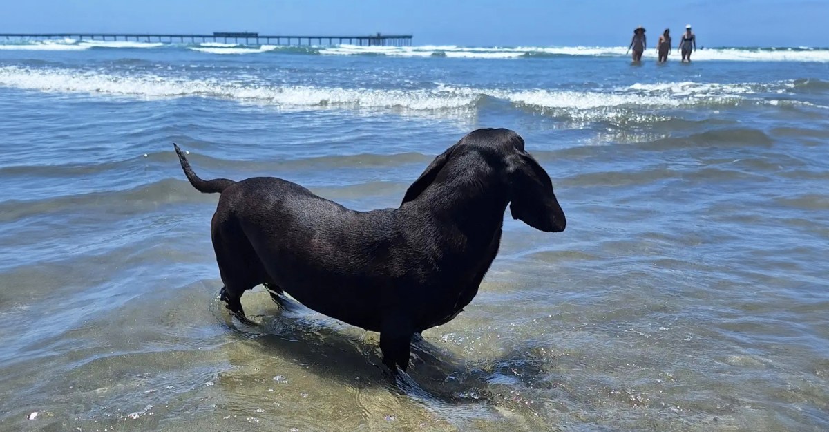 In the bleak midwinter | Libby Weber